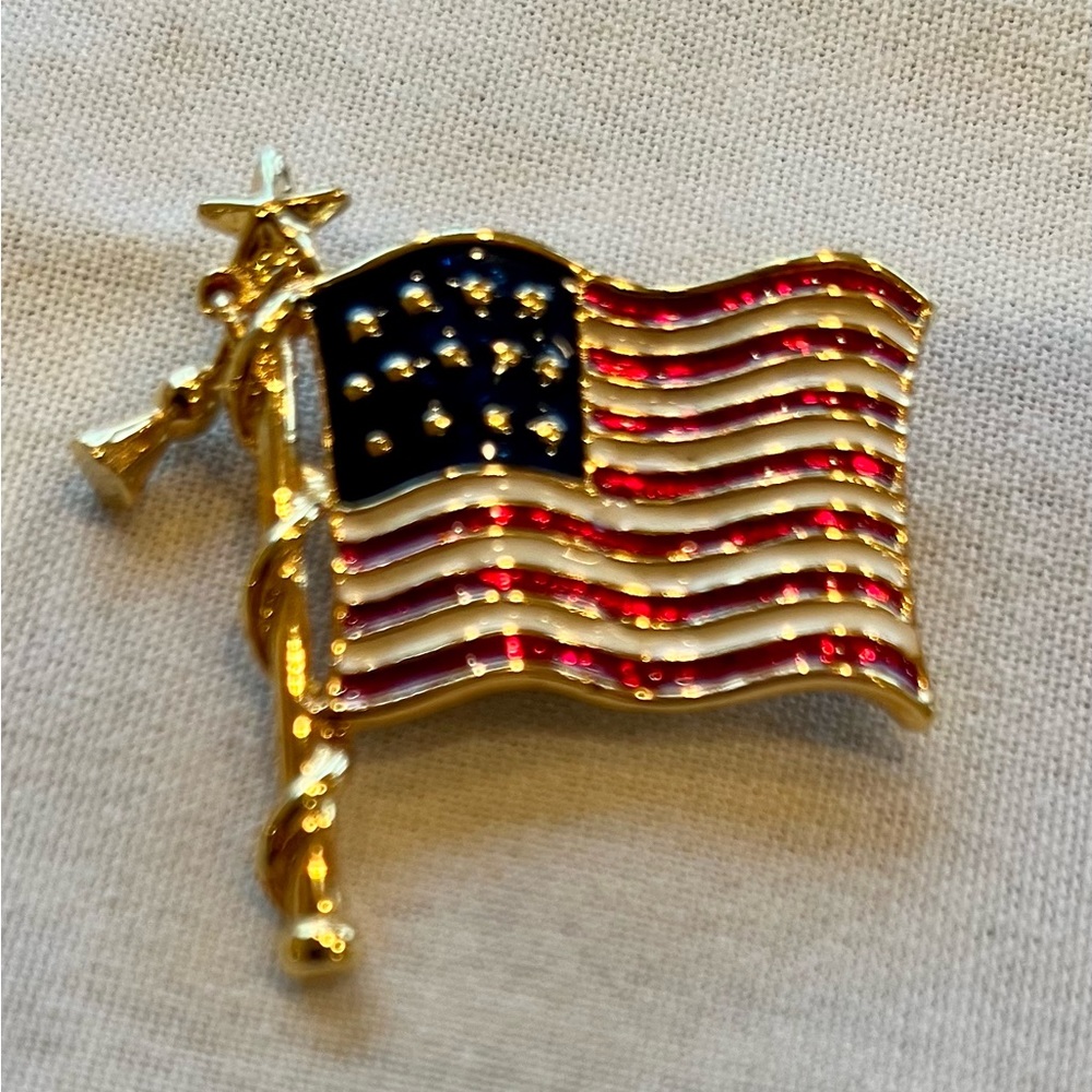 Vintage Ann Hand Collection American Flag Brooch - Gem